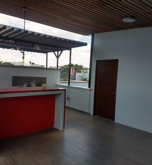 Techados y Pérgolas - Roof Garden - Diseño de espacios - Los mejores en ...